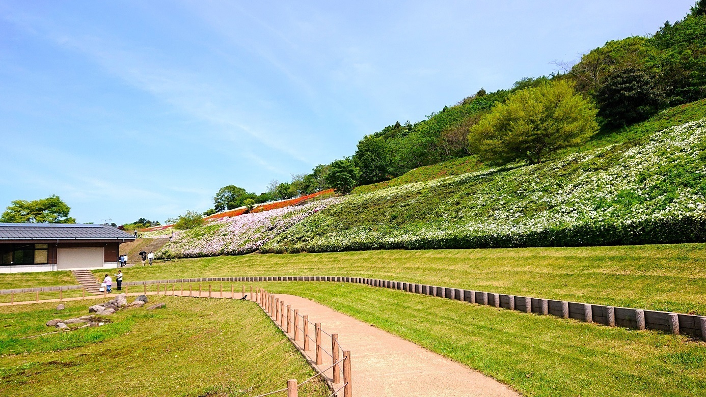 大乗寺丘陵公園: つとつとのブログ