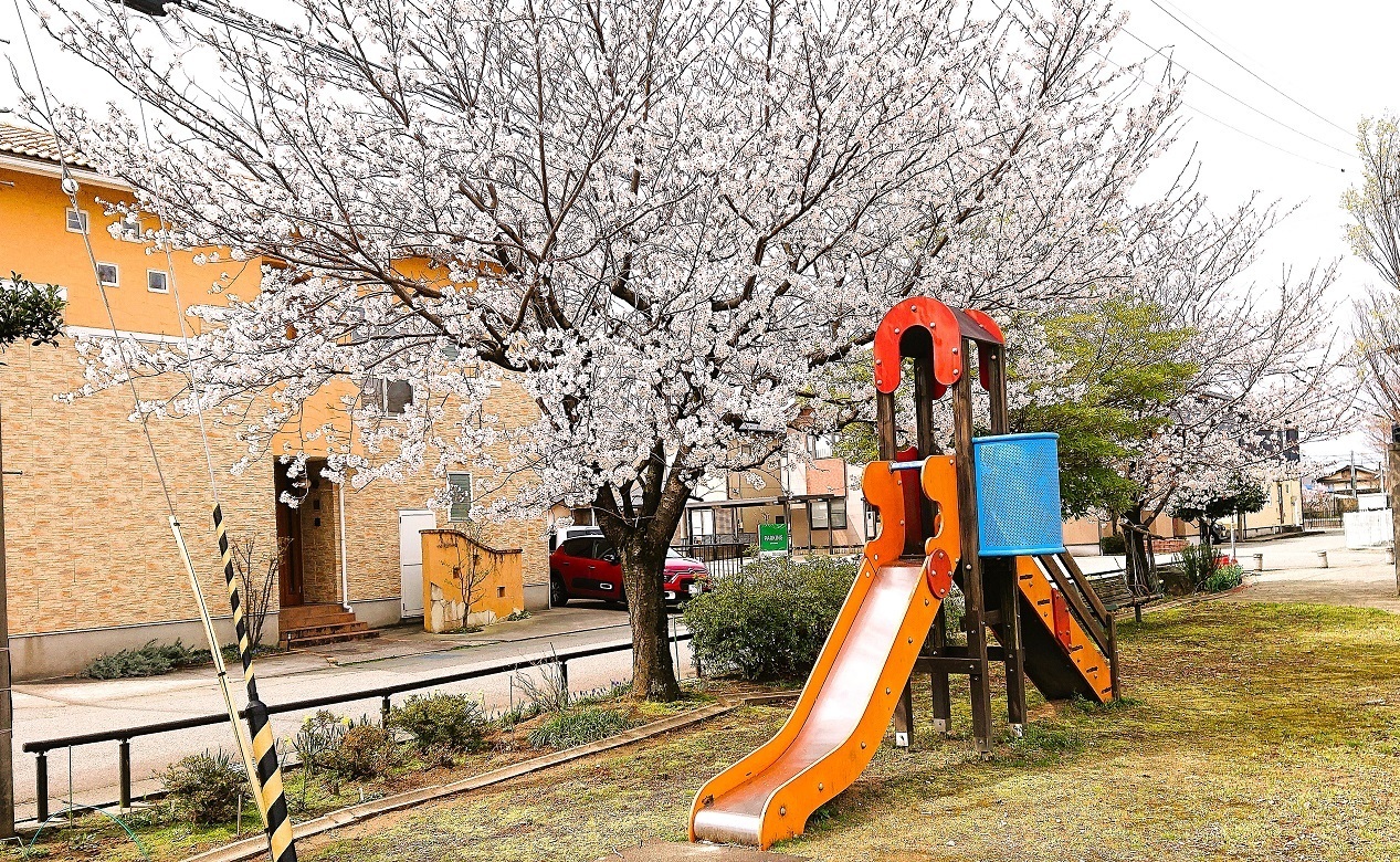 金津城址③ 雑記・越前狂乱: つとつとのブログ